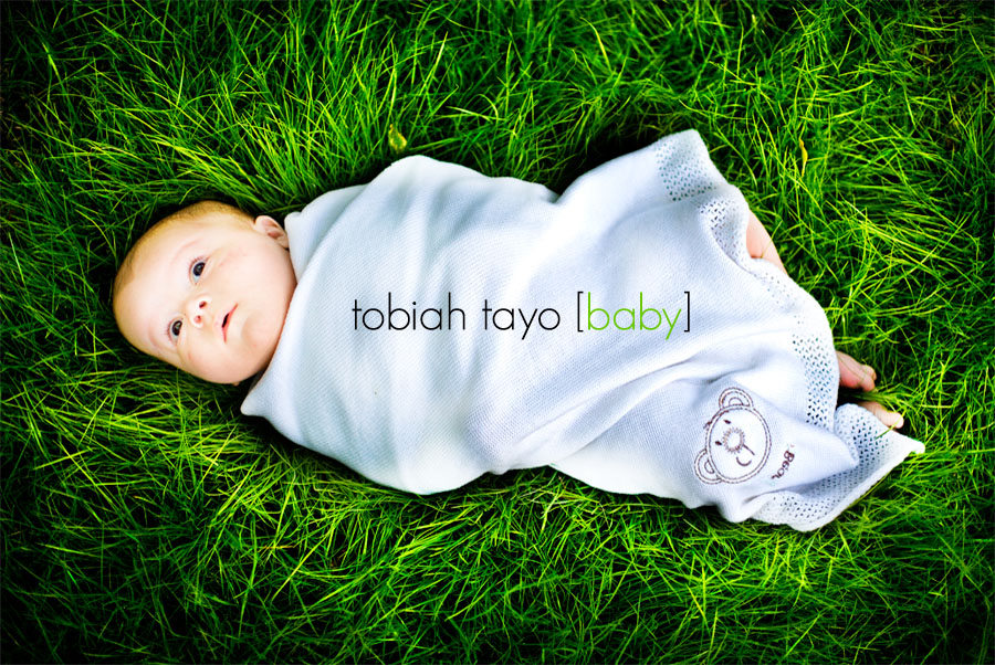 ***Noah*** [baby portrait session]